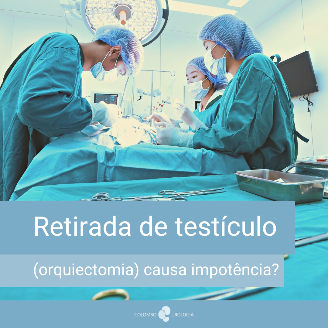 Remocao De Testiculo Humano
